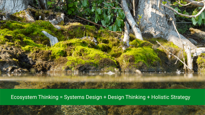 Introducing Ecosystem Thinking « Chris Heuer's Insytes